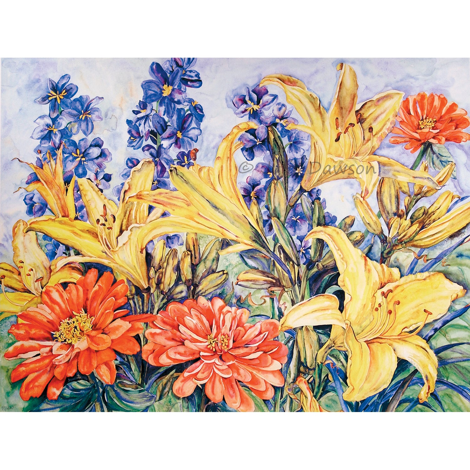 Original Watercolor Flower Paintings – Julie Dawson Art and Design