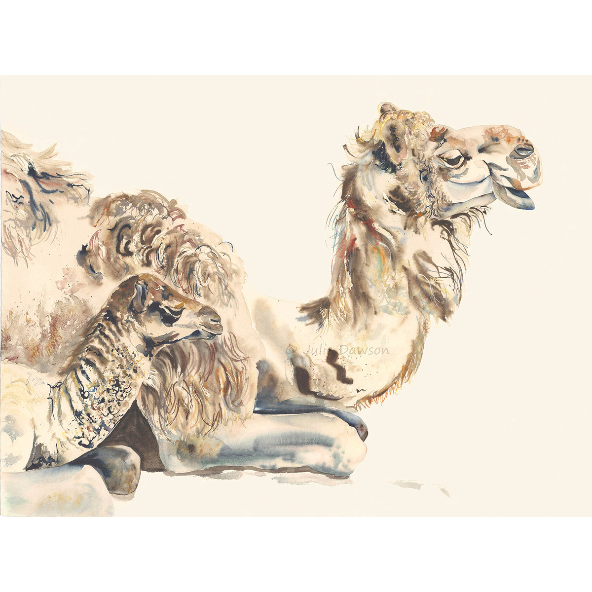 Supercilious Original 23x32 – Julie Dawson Art and Design